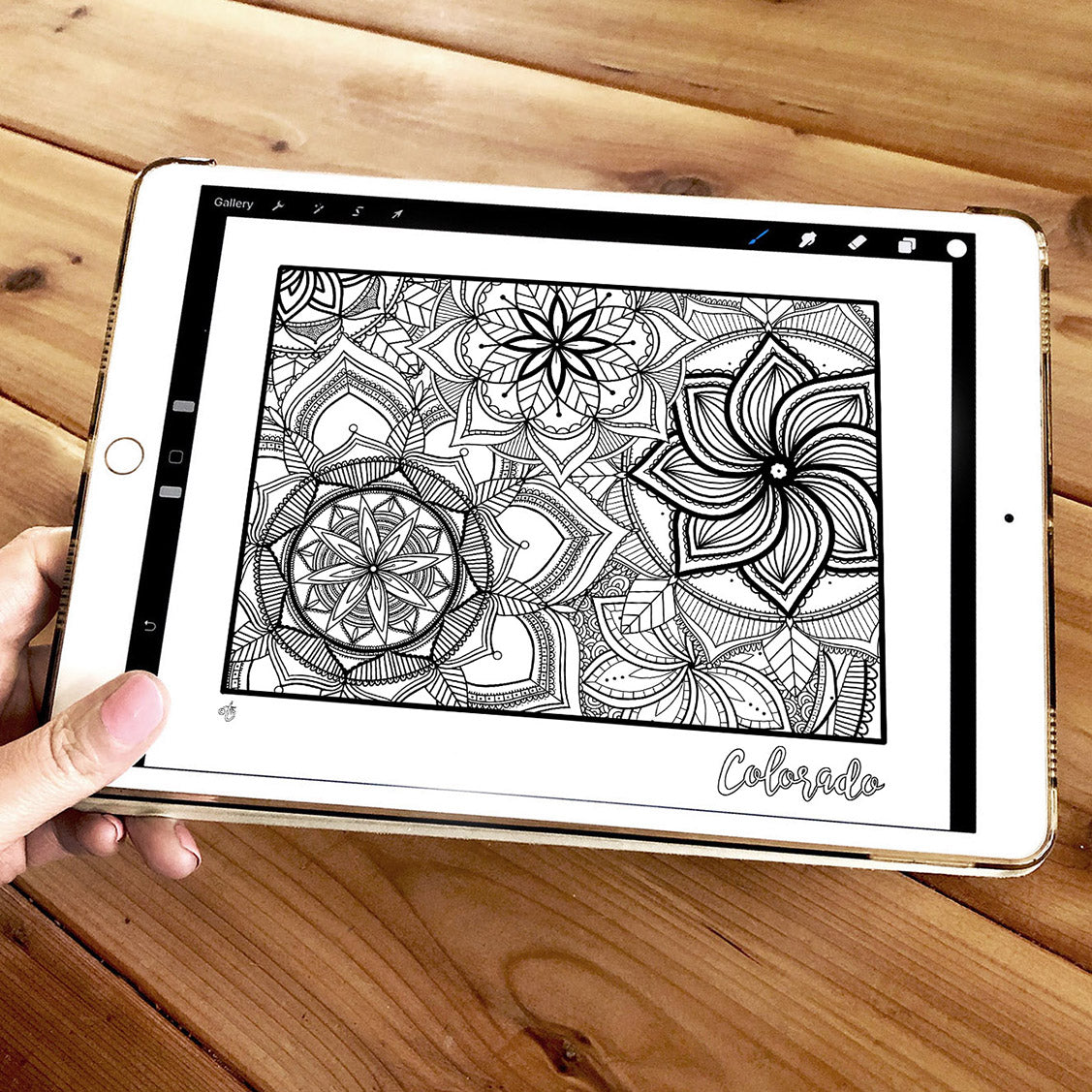 colorado coloring pages